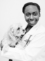 Animal Hospital of Rowlett - Veterinary Clinic in Rowlett, Texas - Our ...